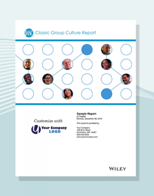 Wiley_disc classic group culture report image - Employee Assessment Group